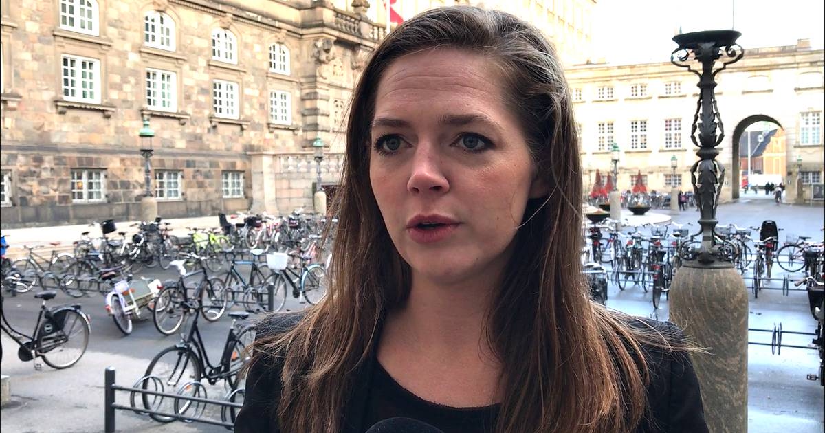 Analyse: Sådan er situationen i blå blok efter dramaet om finansloven ...