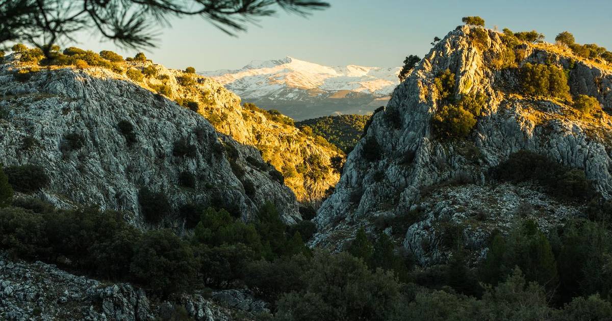 Her er der en times kørsel mellem tropisk klima og sommersne i 3.000 ...