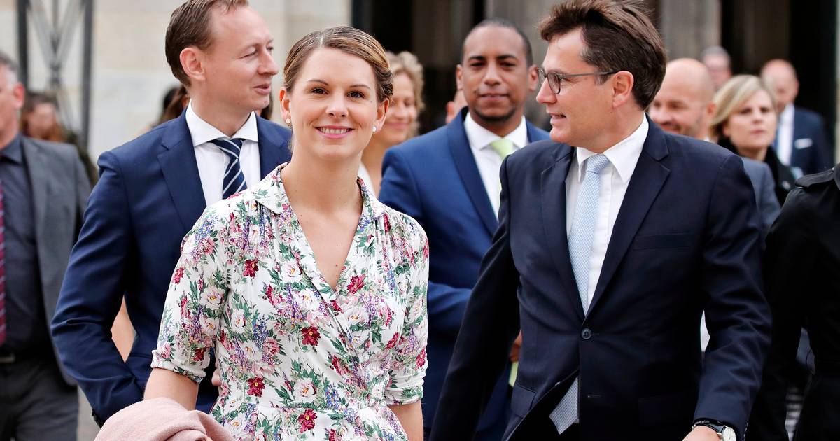 Regeringspartierne ser forskelligt på, om børn skal kunne skifte køn ...