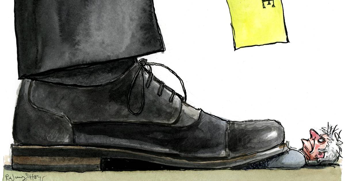 Her er historien om, hvorfor der ingen protesterende gule veste er i ...