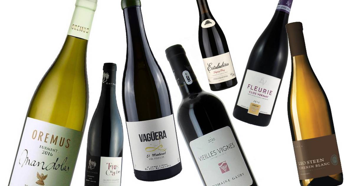 Fantasien til magten