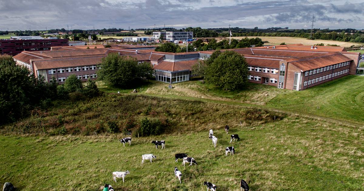 Agro Food Park: 100 virksomheder bliver en markant milepæl - Jyllands ...