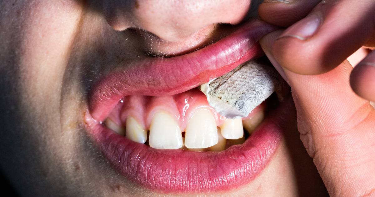 Gymnasieelever snuser som aldrig før, men hvor farligt er det egentlig ...