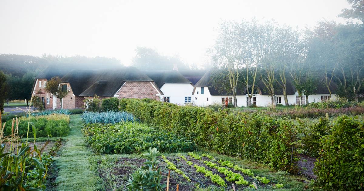 Danmarks ældste kro er over 800 år gammel - Jyllands-Posten