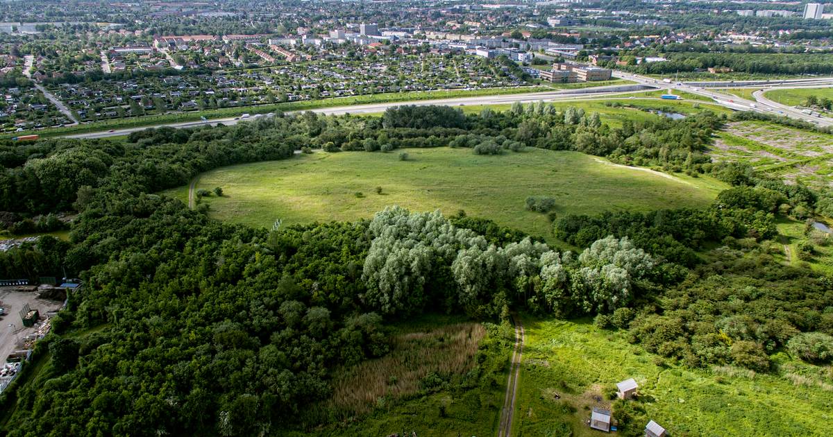 Ny koncertplads klar i Eskelunden i 2021 - Jyllands-Posten