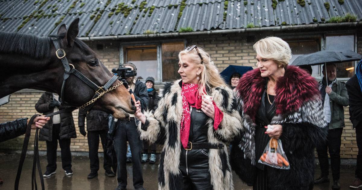 Champagnedåb: Karin Sallings hest døbt af Sanne Salomonsen - Jyllands ...