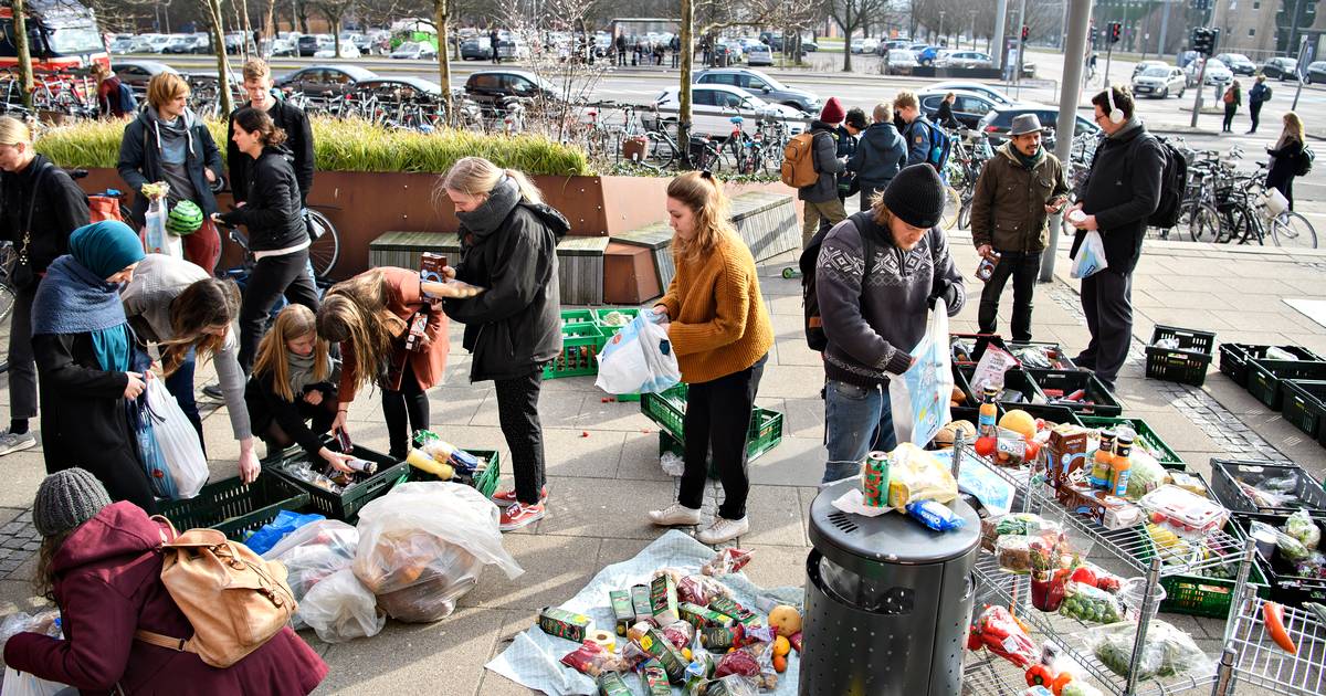 Danskerne smider 250.000 ton mad ud der kunne være spist - Jyllands-Posten
