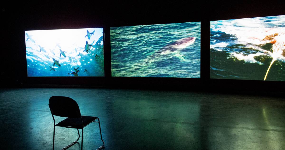 Når museerne må åbne igen, er Aros klar med en uhyggeligt aktuel ...