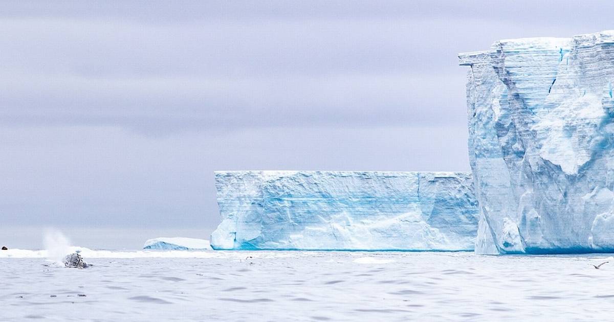 Forskere ser begyndelsen på enden for verdens største isbjerg ...