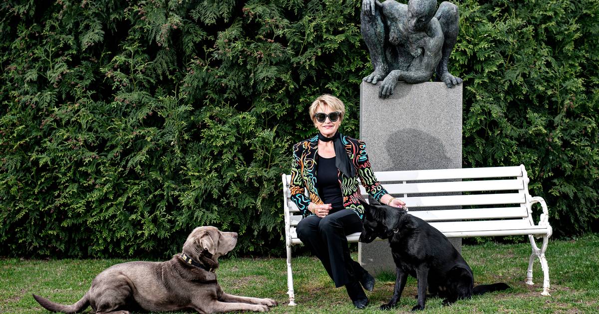 »Jeg glæder mig til at få den gamle tryghed tilbage. Hvis den kommer ...