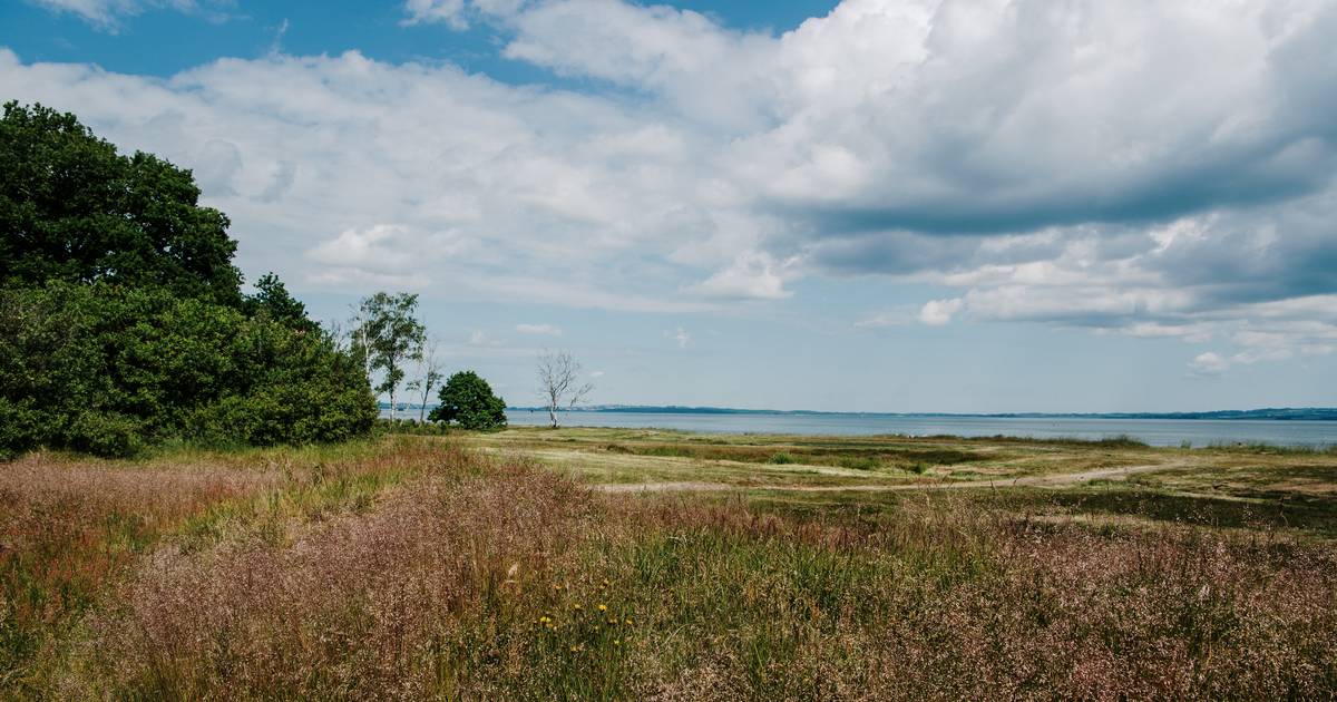 Heden med udsigt og mindesten - Jyllands-Posten