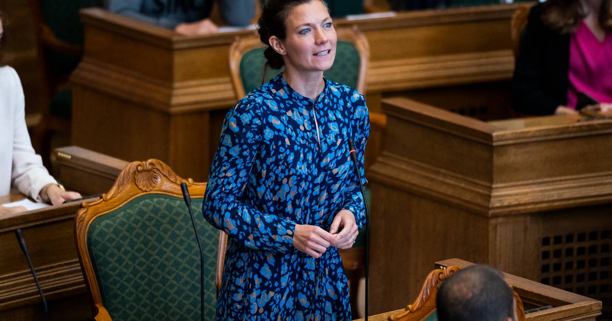 Lotte Rod kritiseres for uansvarlighed fra egen kredsformand