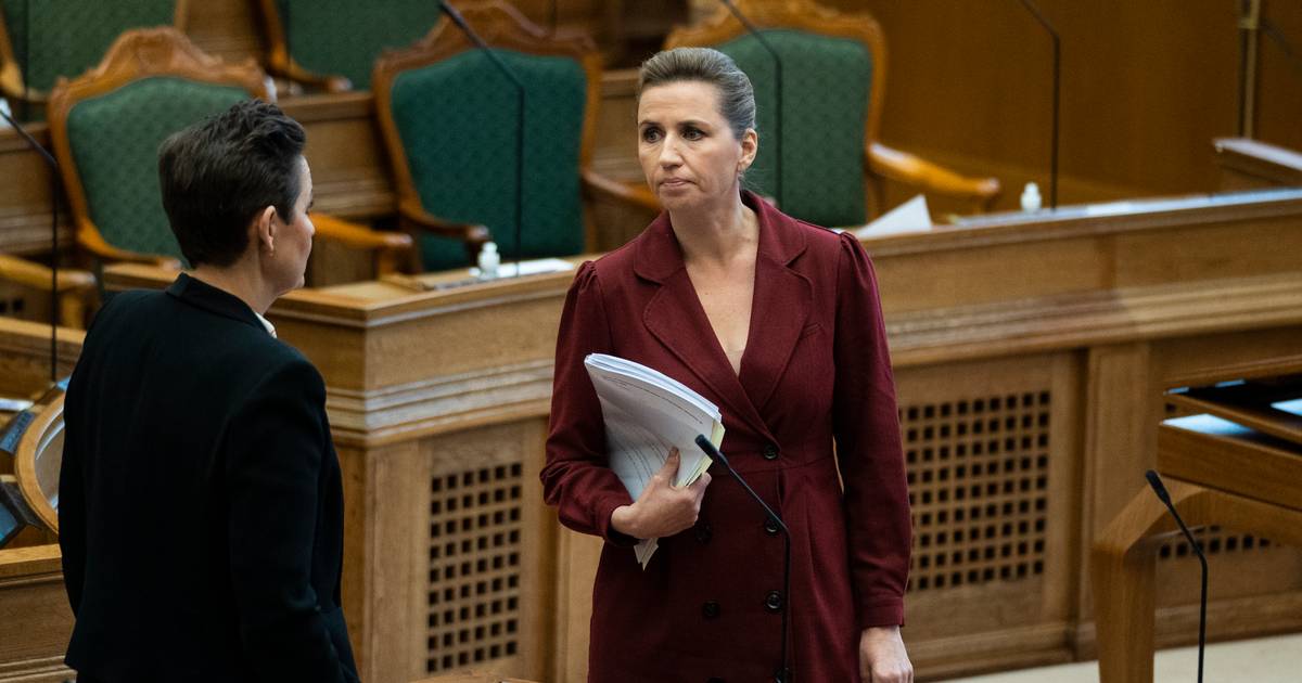 Mette Frederiksen beklager forløbet om aflivning af mink - Jyllands-Posten