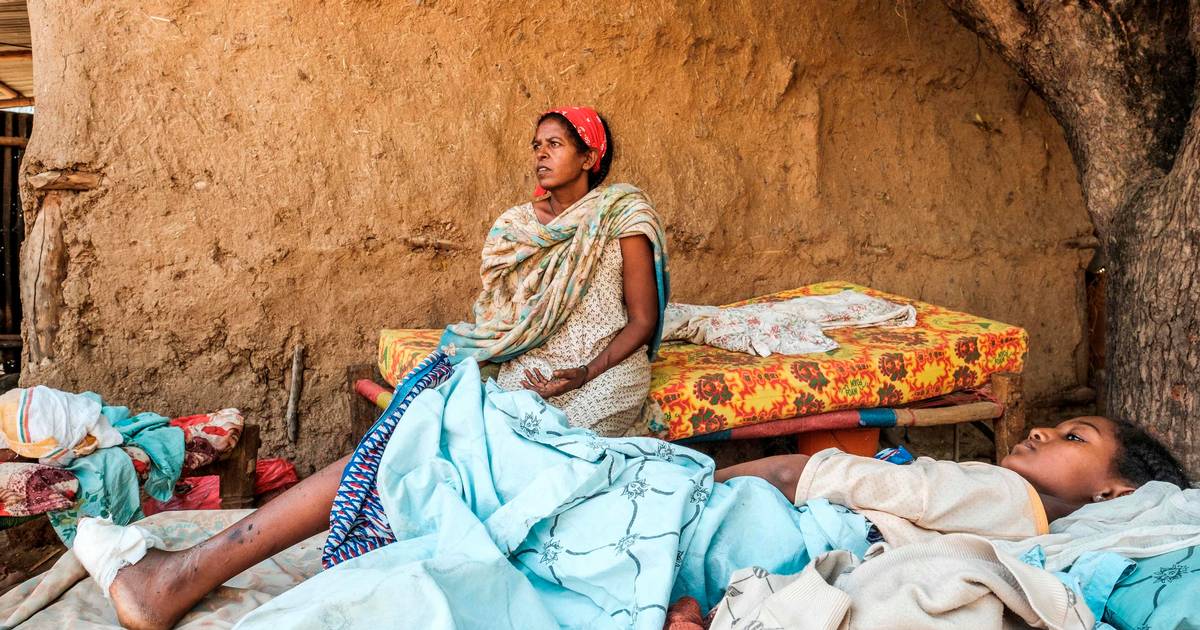 Etiopiens nye krig påvirker somaliernes skæbne på Afrikas Horn ...