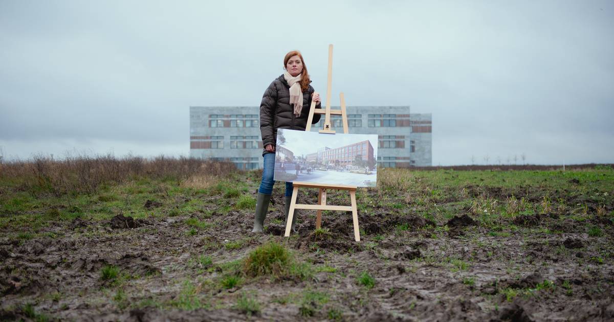 Aarhusiansk fødevarecentrum tager nyt skridt i Skejby - Jyllands-Posten