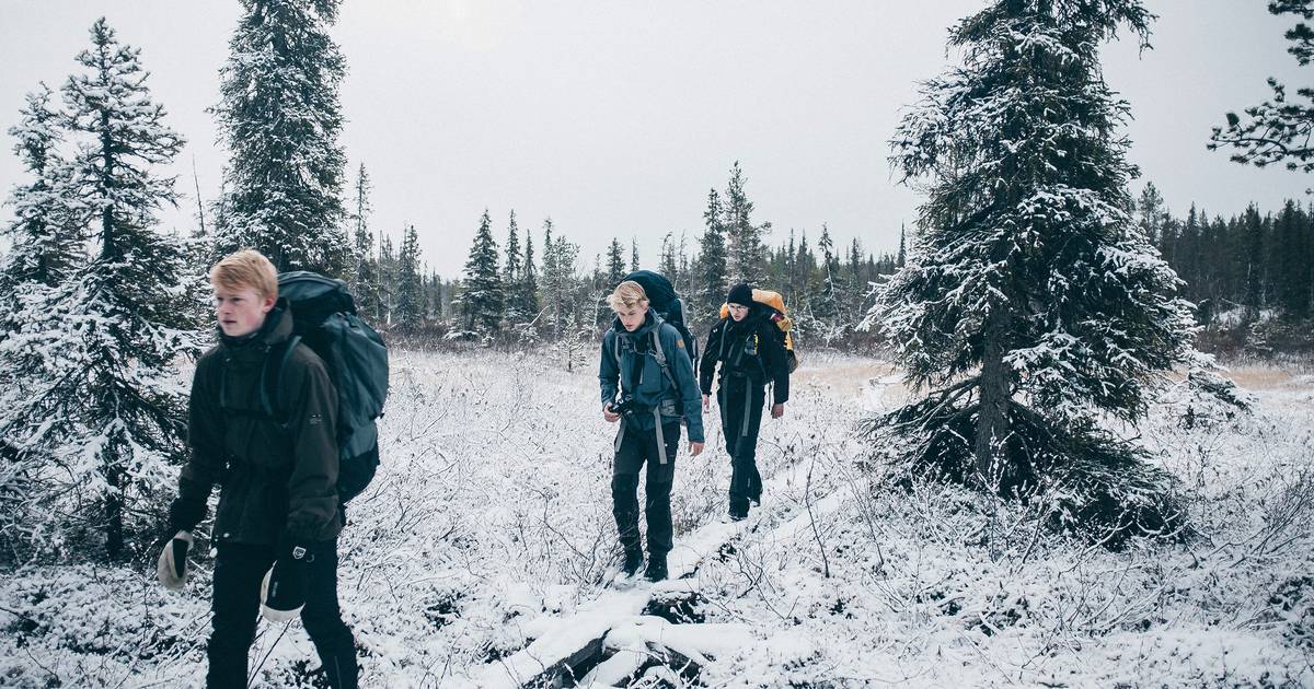 Dagbog fra den arktiske vildmark: Kom med på en snehvid vandring gennem ...