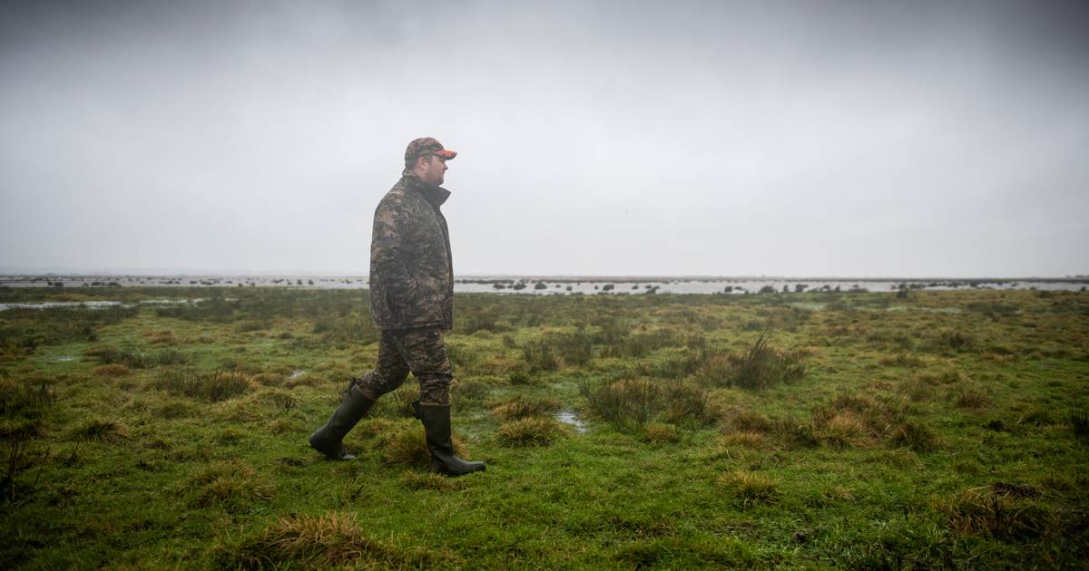 EU vil have mere natur – jægerne frygter forbud mod jagt og fiskeri ...