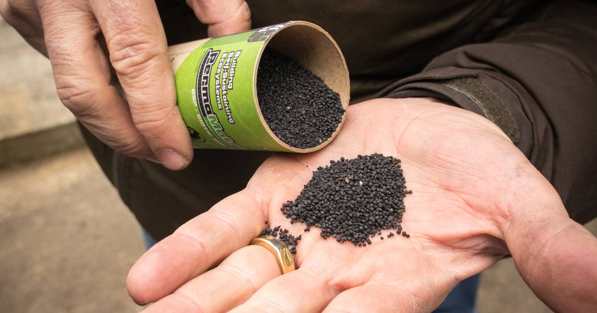 Biokul kan blive en genvej til omstillingen af landbruget, mener ...