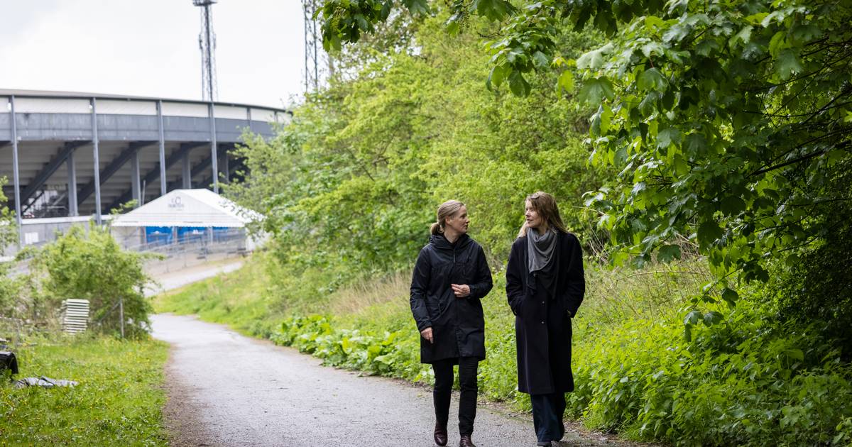 Arkitekterne i Kongelunden - Jyllands-Posten