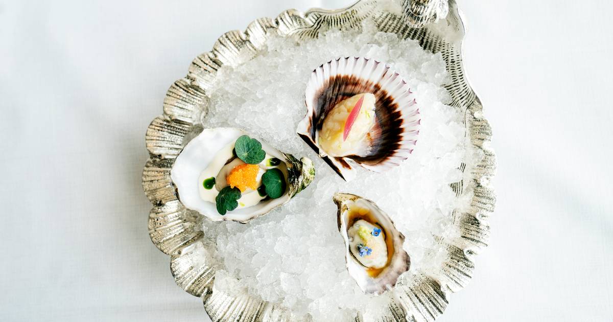 Madanmeldelse: Mesterkokken Jakob de Neergaard får flyvende start på ...