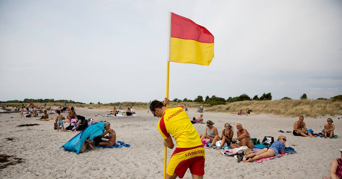 Nu kommer livredderne til 38 danske strande og havnebade - Jyllands-Posten