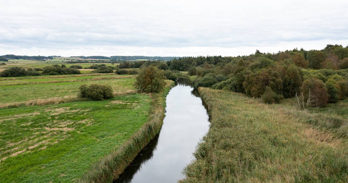 Nørreådalen ser ind i ny fremtid: Flere dyr kan være på vej - Jyllands ...
