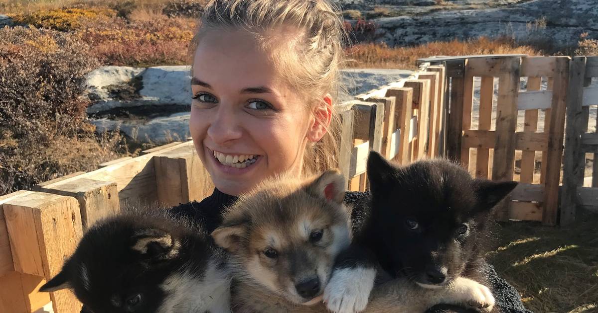 Ungt vestjysk par har overtaget styringen på gammelt grønlandsk hotel ...