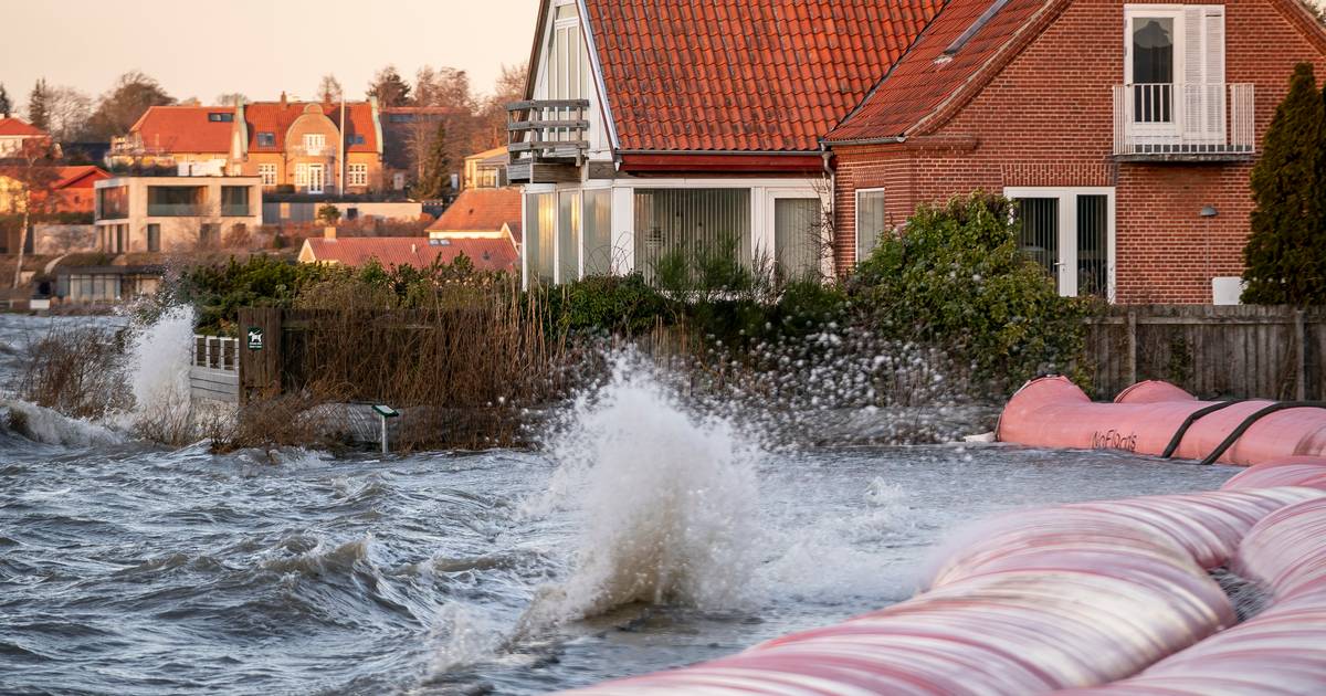 Stormen Malik gav langt færre skader end Bodil og Allan - Jyllands-Posten
