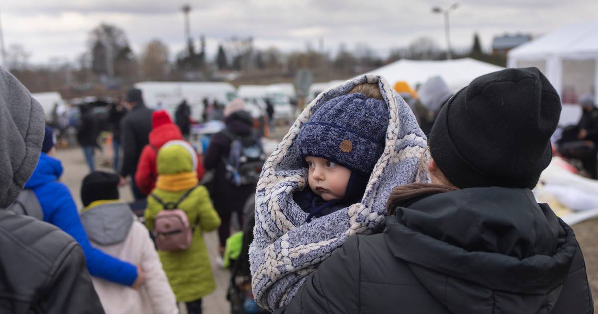 EU har taget imod næsten én million flygtninge fra Ukraine - Jyllands ...