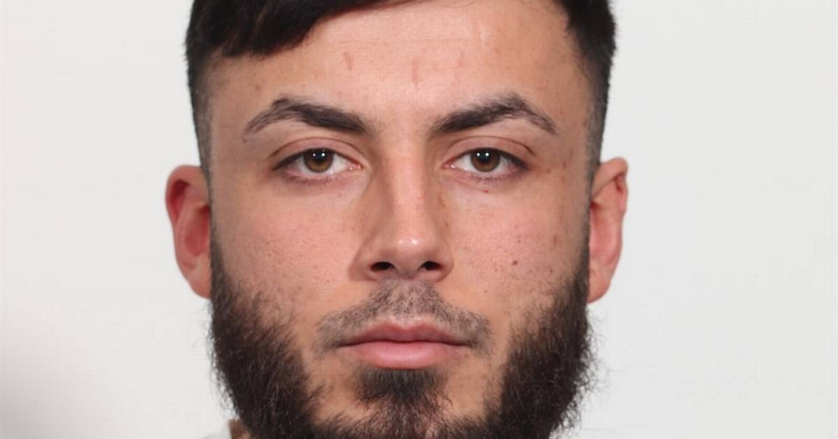 Politiet efterlyser 28-årig for påkørsel af fodgænger - Jyllands-Posten