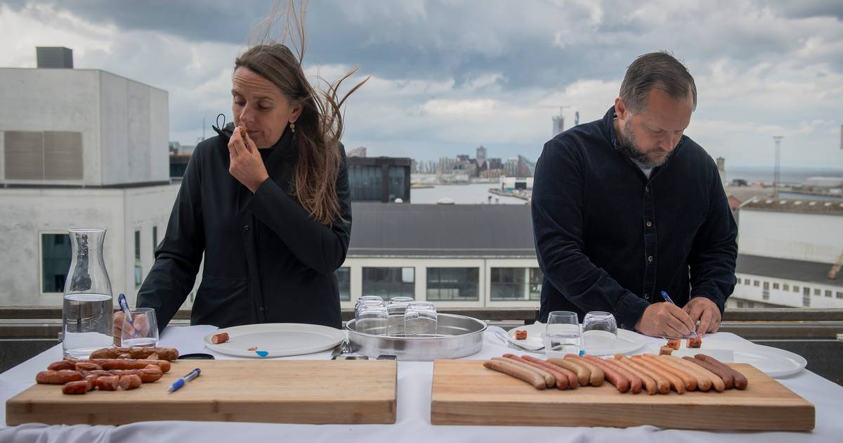 Stortest af grillpølser: »Den smager helt vildt meget af ...