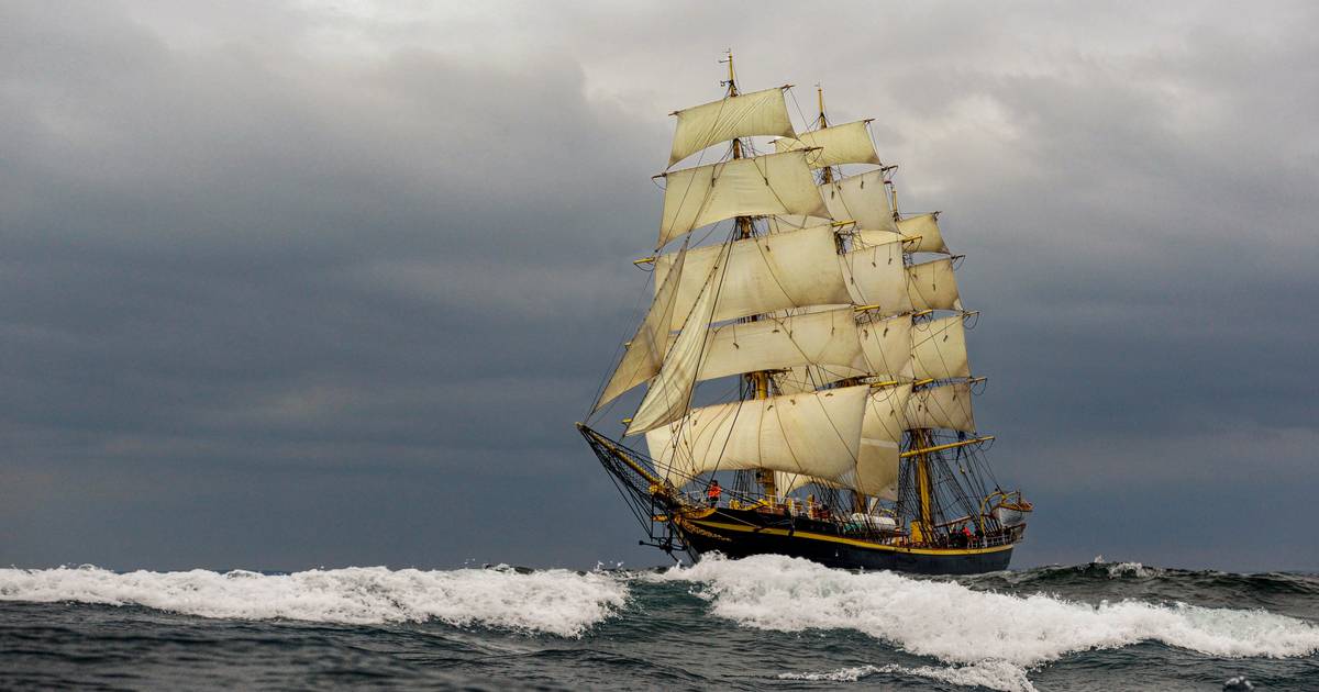 ”Georg Stage” er søfartens humlebi - Jyllands-Posten