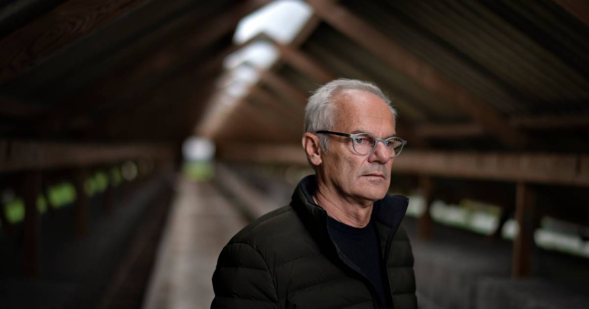 Minkformand: Vi fik ret i vores kritik af masseaflivning