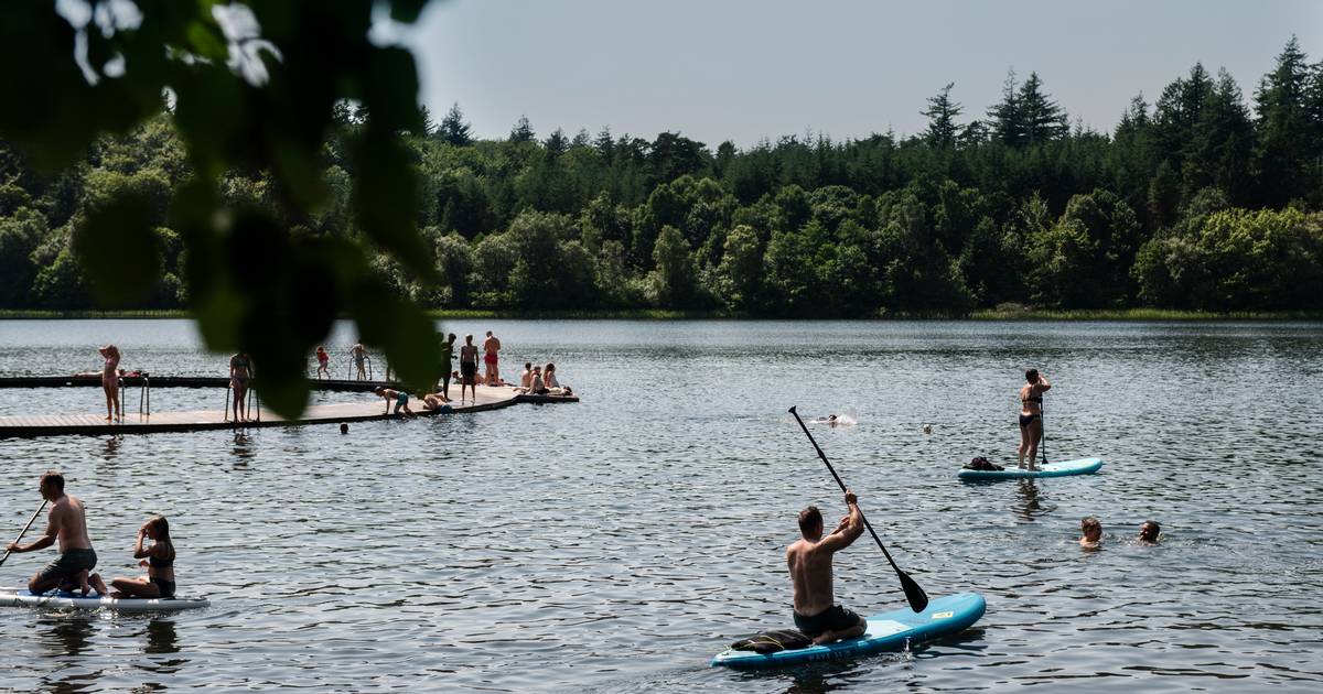 Pas især på de mindste og de ældste, når heden bølger over landet ...