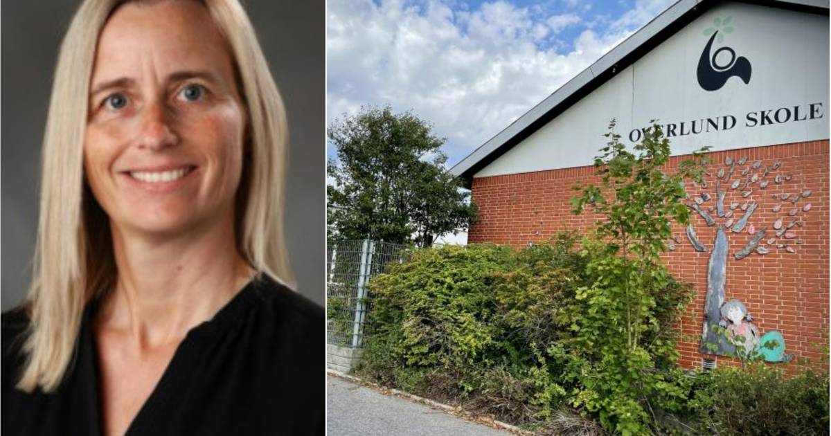 Overlund Skole skærer til: Elevflugt på overbygning betyder færre ...