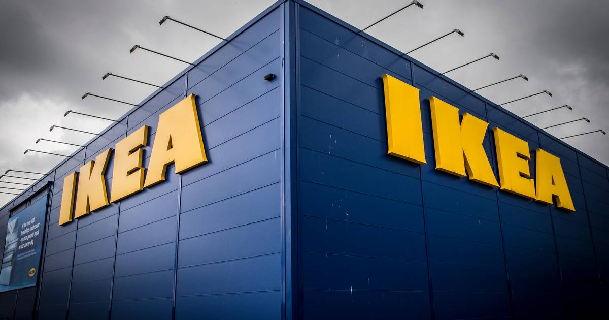 Ikea-chef: »Jo større succes, desto større er chancen for noget stort«