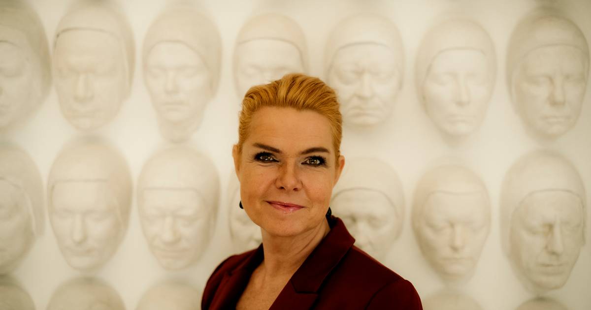 Inger Støjberg og Danmarksdemokraterne vil fjerne momsen på el vinteren ...