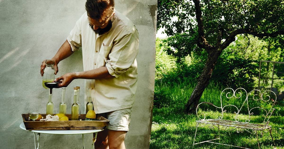 Fra snitblomster til skosværte: Ny bog vil lære dig at blive ...