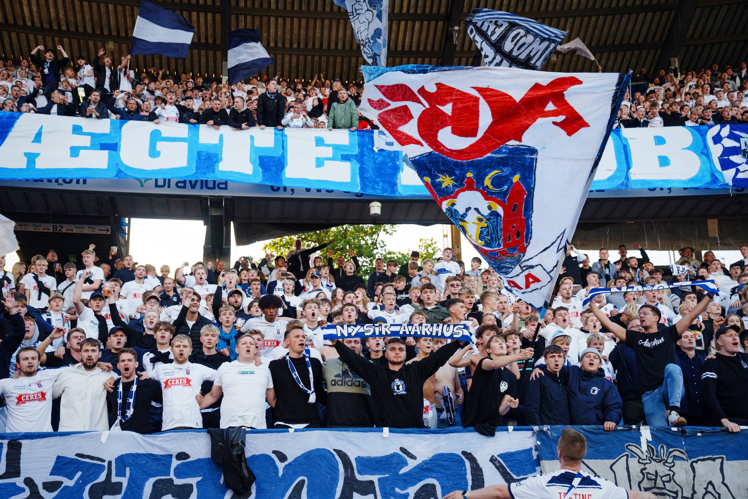 Ny bog om AGF-fans: »Så er jeg bare en simpel idiot« - Din Avis