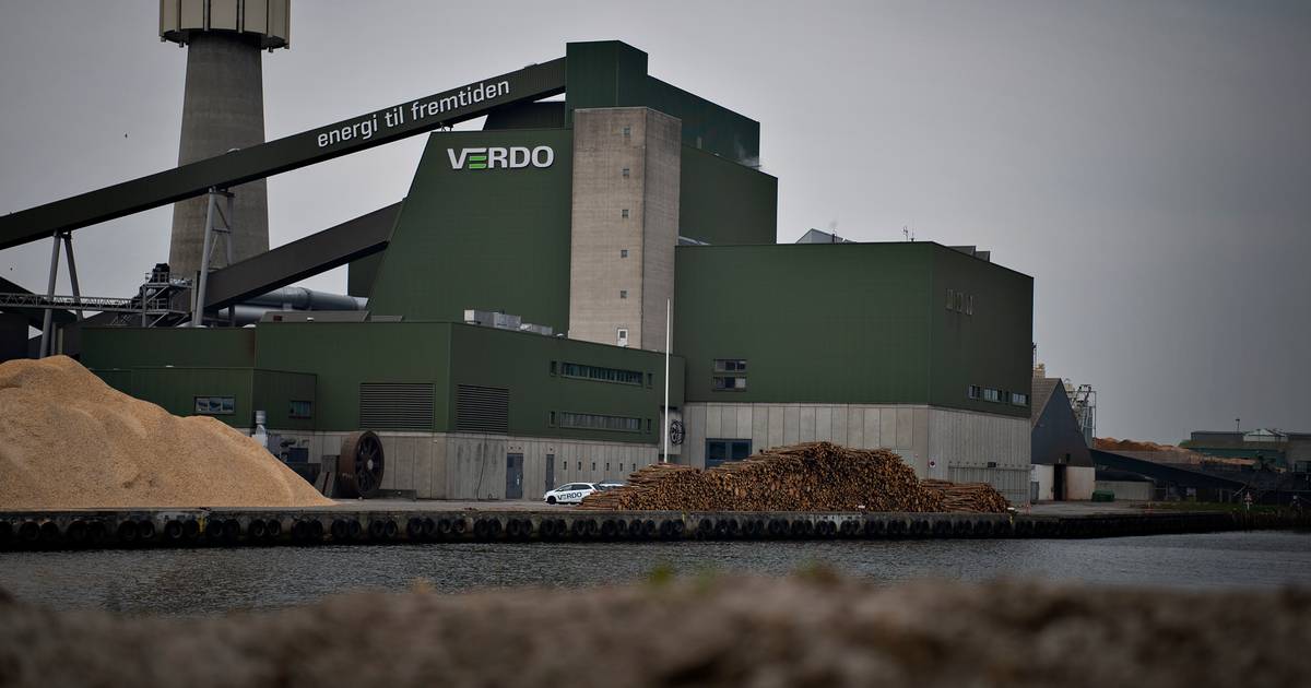 Verdo klar med ny beregning: Så dyr bliver din varmeregning - Jyllands ...