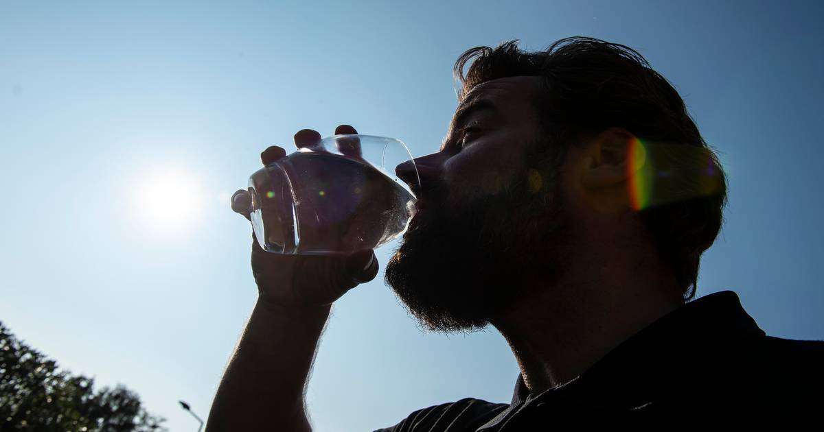 Måske er det slet ikke sprøjtegifte, der er det største problem for ...