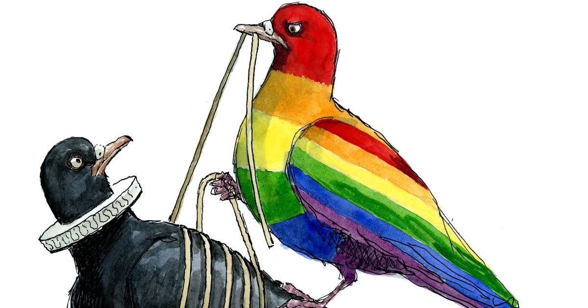 Vi skal ikke tvinge til frihed - Jyllands-Posten