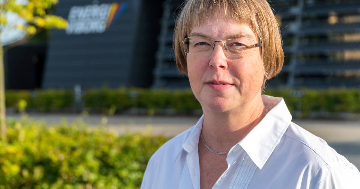 Få overblikket over din elpris: Her er, hvad du kan forvente - Jyllands-Posten