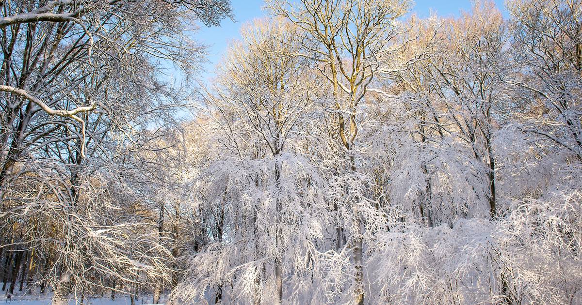Snerig søndag: DMI varsler sne mange steder i Danmark - Jyllands-Posten
