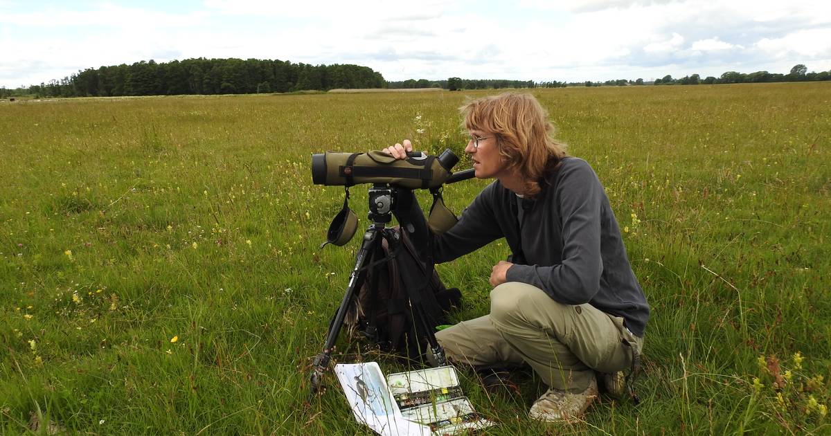 »Når man kigger på fugle, skal man øve sig i noget, mange af os har ...
