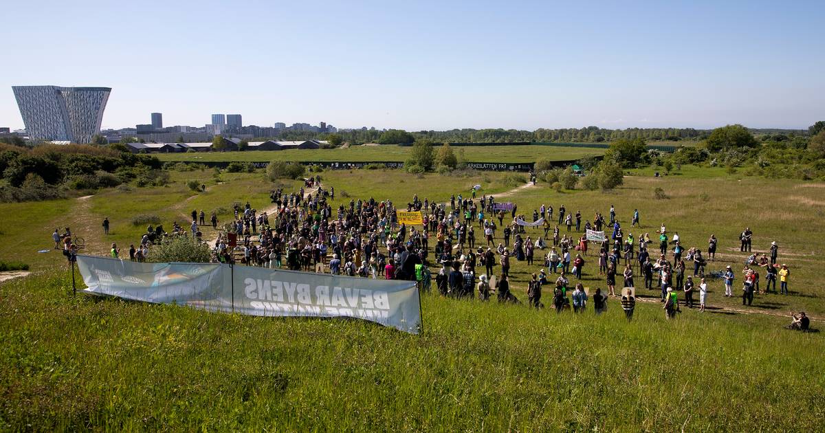 Byret stopper byggeri under retssag om Amager Fælled - Jyllands-Posten