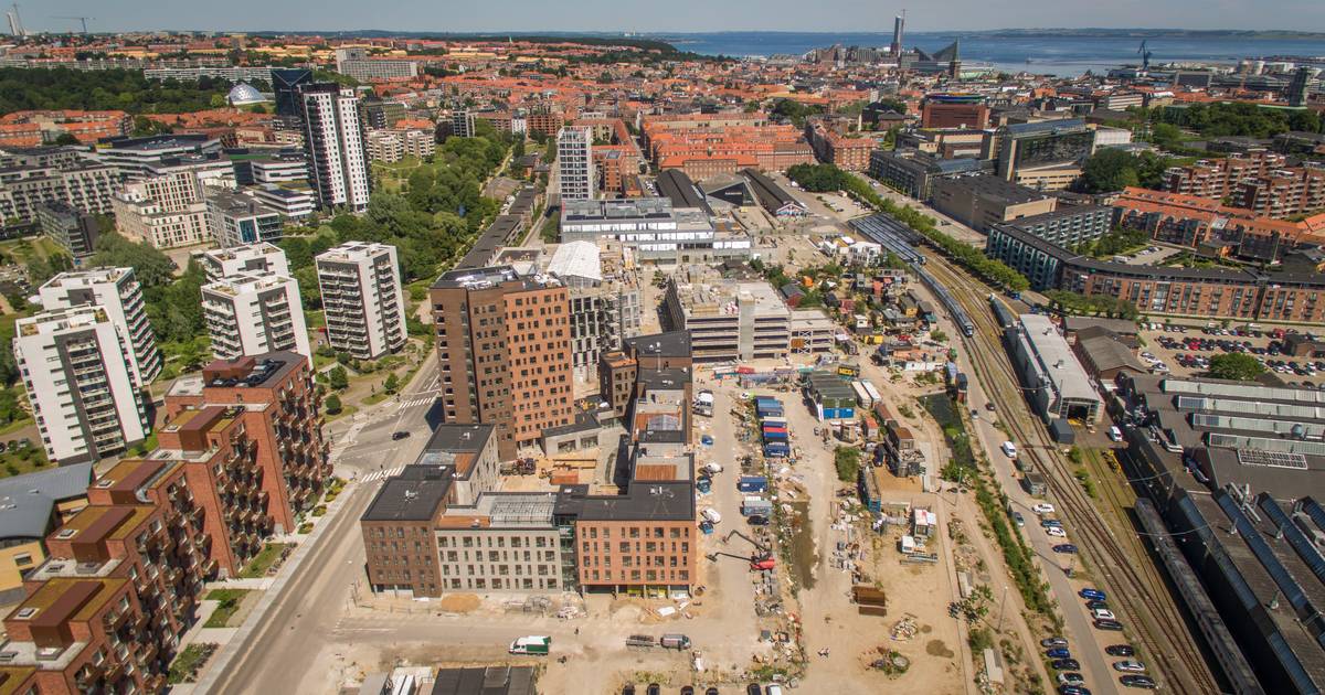 Portræt af en ny bydel: Målet er et vildt og selvgroet område - Jyllands-Posten