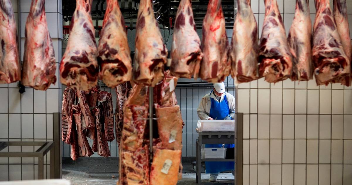 Skare-virksomhed får to bøder efter kontrolbesøg - Finans