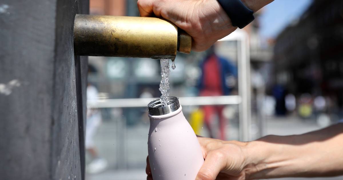 Forsøg på at mindske gift i drikkevand slår fejl: »Det kan vi ikke ...
