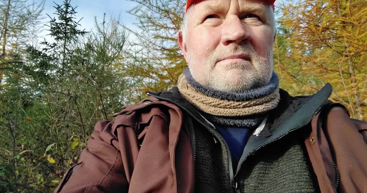 Torben Pedersen spottede to »rigtigt store« ulve nær Randers, og det ...